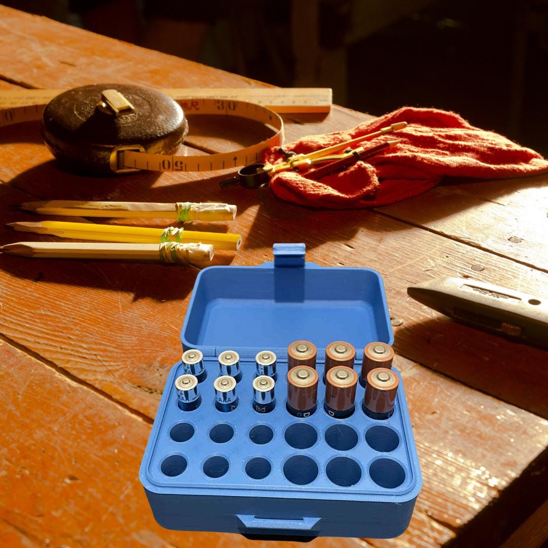 Battery Organizer Box | Clip-seal Case for 12 AA + 12 AAA Batteries ...