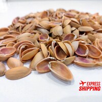 Cleaned Pistachio Shells for Arts & Crafts, Bulk 8oz DIY Craft Supplies ...