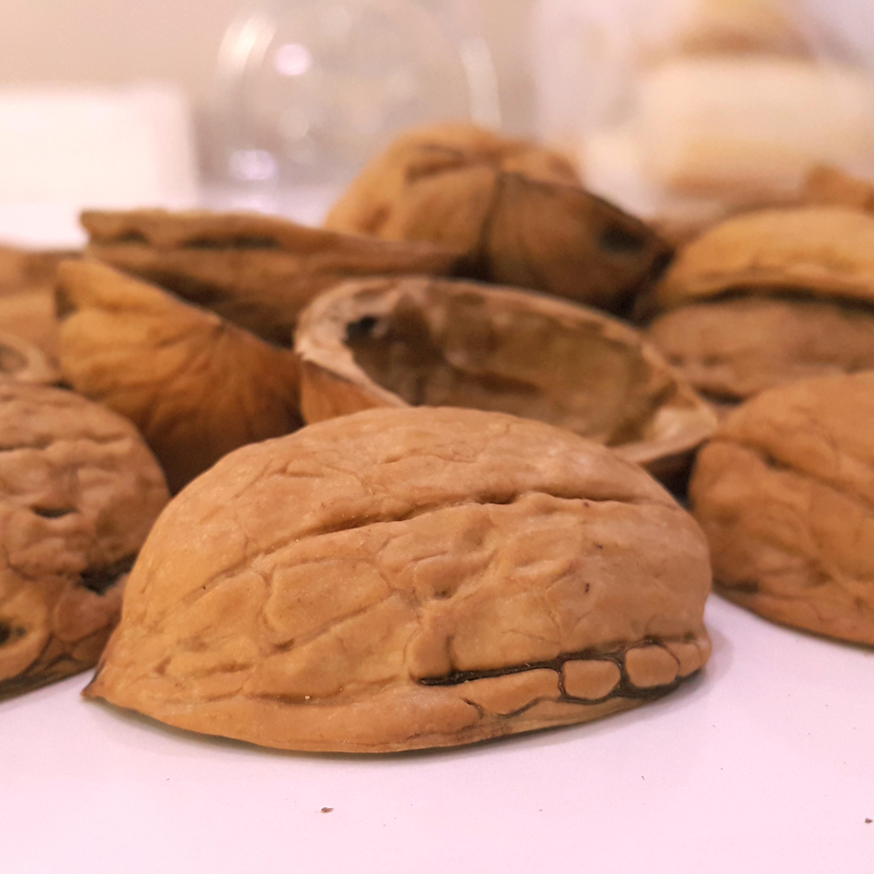 Natural Walnut Shell Halves: Organic Christmas Decor Crafts - Etsy