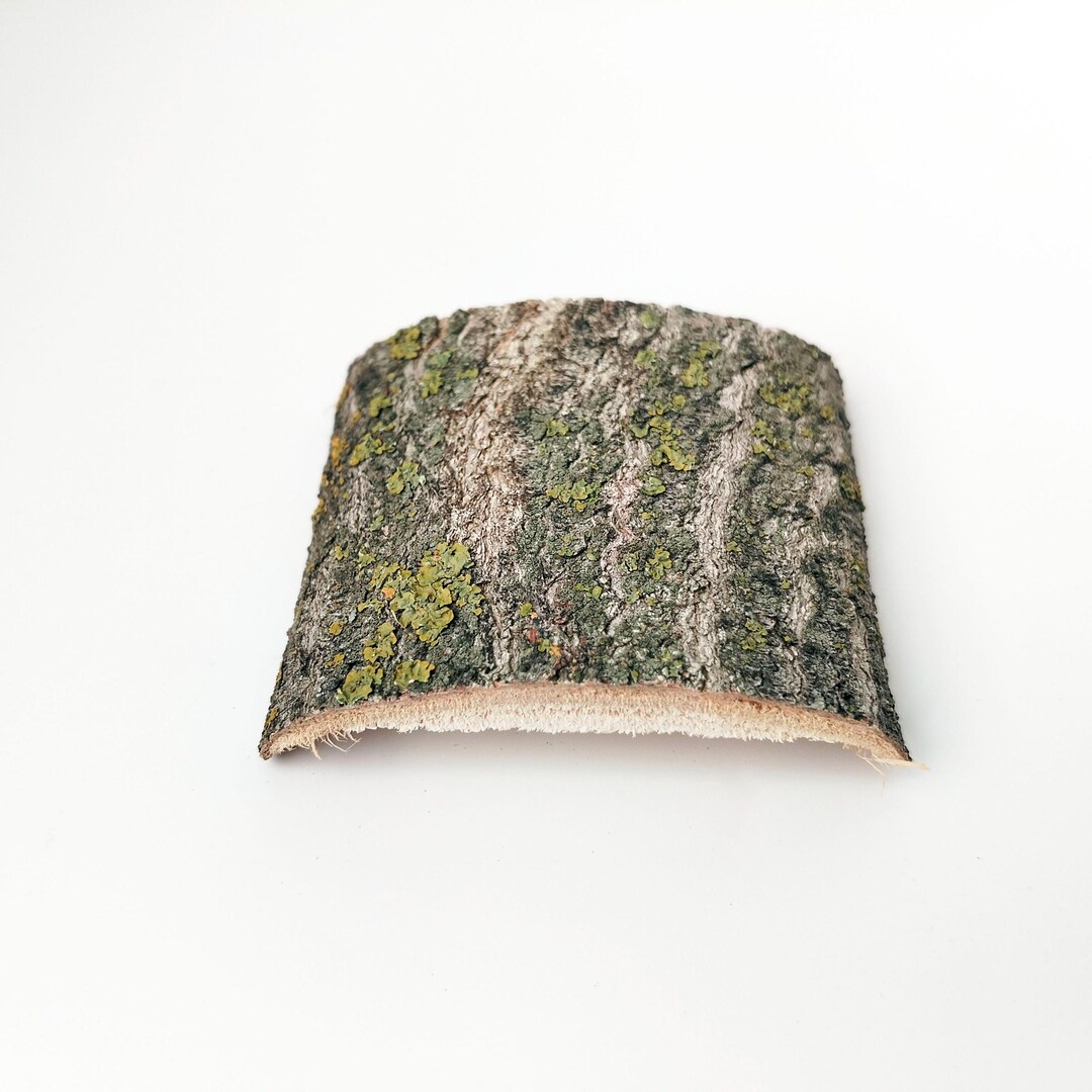 Real Natural Tree Bark Wood Slices Terrarium Organic Fairy Garden ...