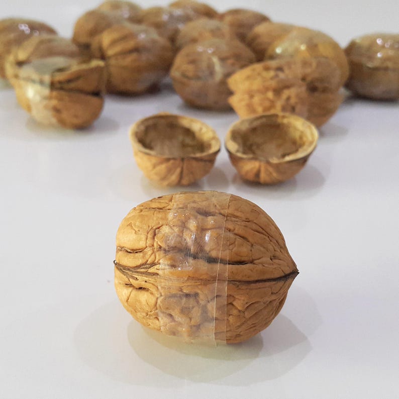 80 Paired Walnut Shell Halves Natural Decoration Crafting Organic ...