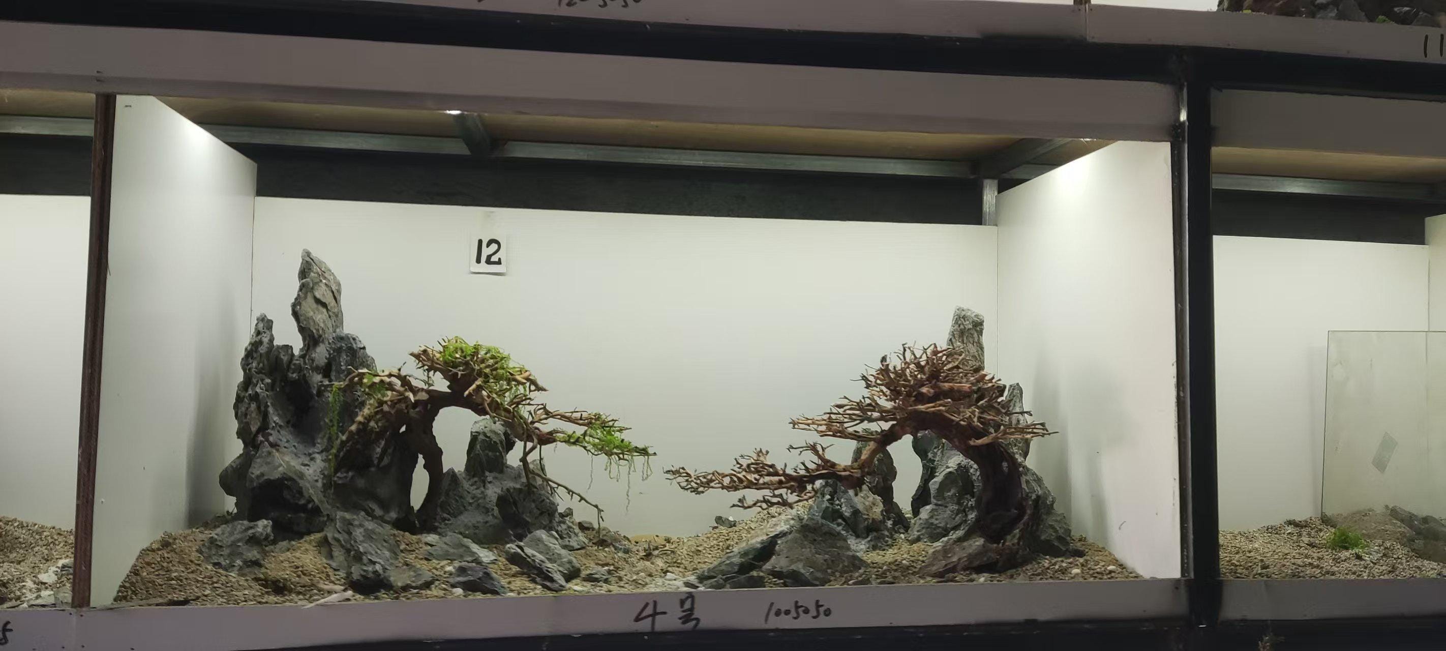 Custom Driftwood Bonsai Aquarium Aquascape Rock Seiryu Hardscape ...