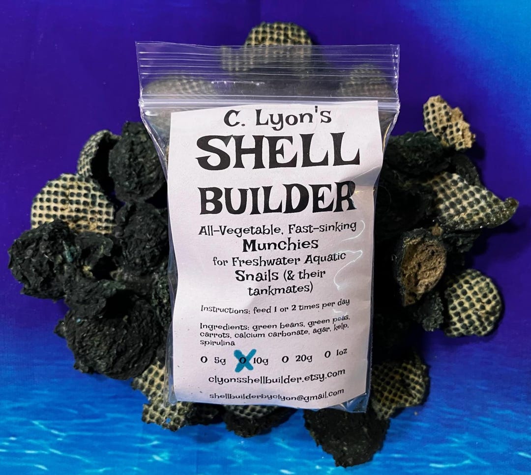 C. Lyon's Shell Builder Freshwater Snail (snello) & Bottom Dweller ...