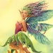 A Practical Guide to Faeries 8.5 X 11 Print - Etsy