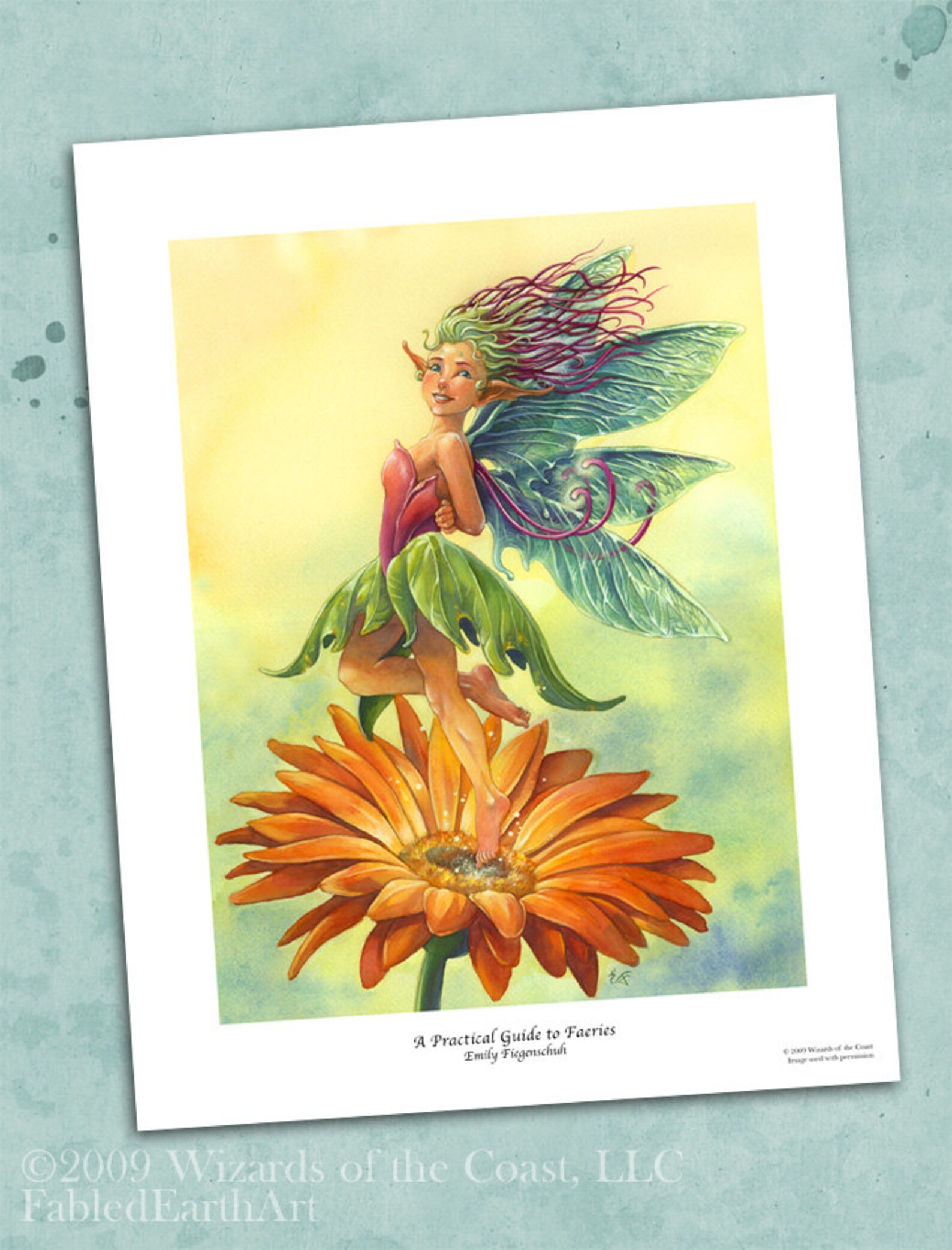 A Practical Guide to Faeries 8.5 X 11 Print - Etsy