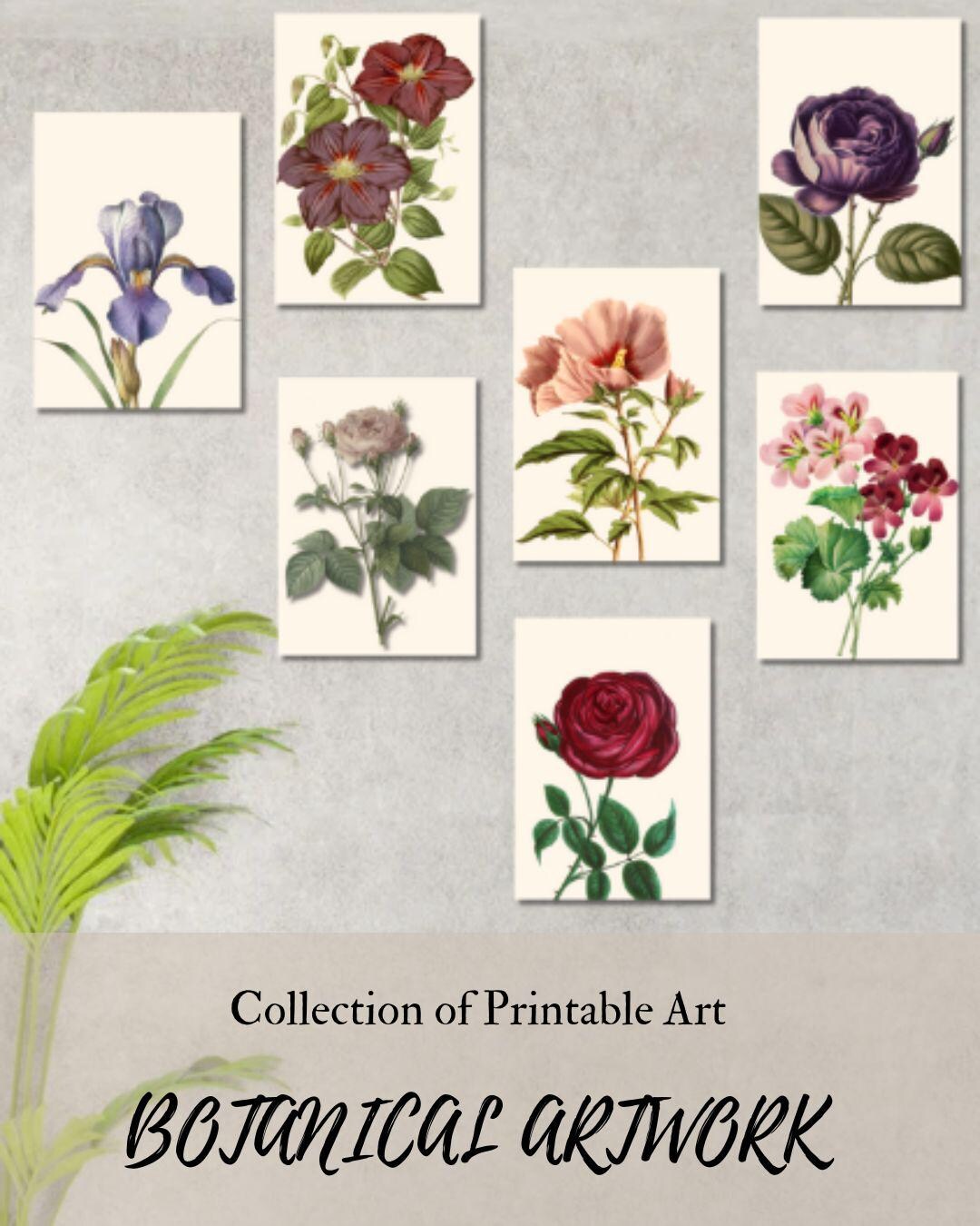 Botanical Decor Bundle: Printable Floral & Leaf Art Prints (digital ...