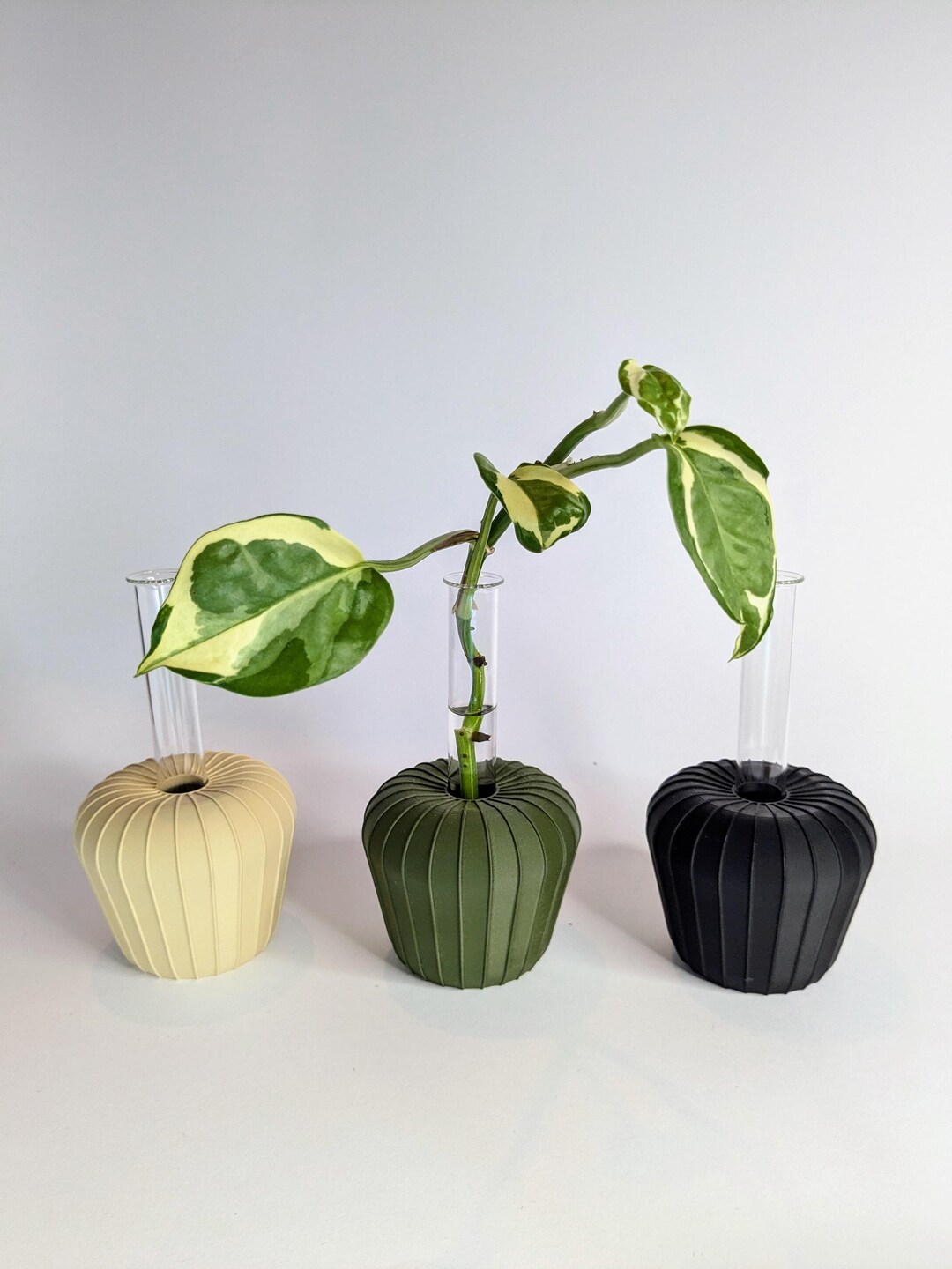 Minimalist Bulb Piped-edge Bud Vase With Propagation Insert Option - Etsy