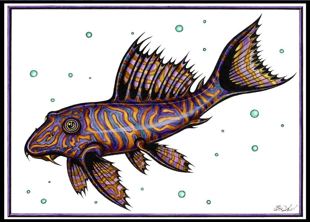 Colorful Pleco Greeting Card - Etsy