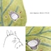 Totoro Rug, Studio Ghibli Tufted Rug, Ghibli Themed Non-slip Bath Mat ...