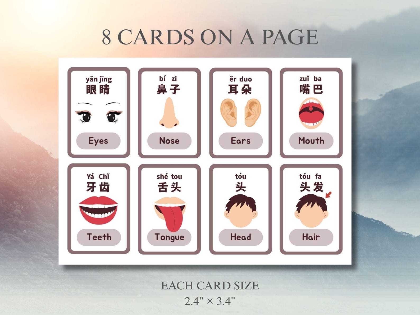 48 Body Parts Flashcards – English, Chinese & Pinyin | Printable ...