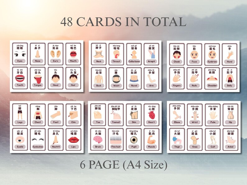 48 Body Parts Flashcards – English, Chinese & Pinyin | Printable ...