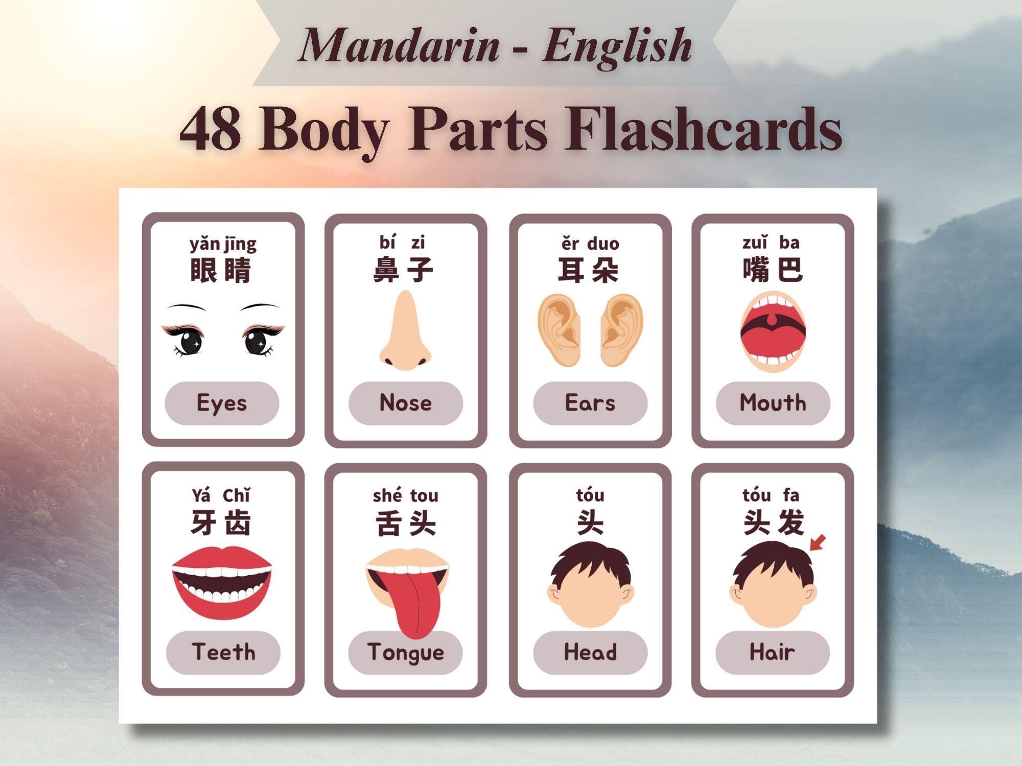 48 Body Parts Flashcards – English, Chinese & Pinyin | Printable ...
