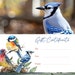 Editable Bird Gift Certificate Template, Printable Bird Coupon Voucher ...