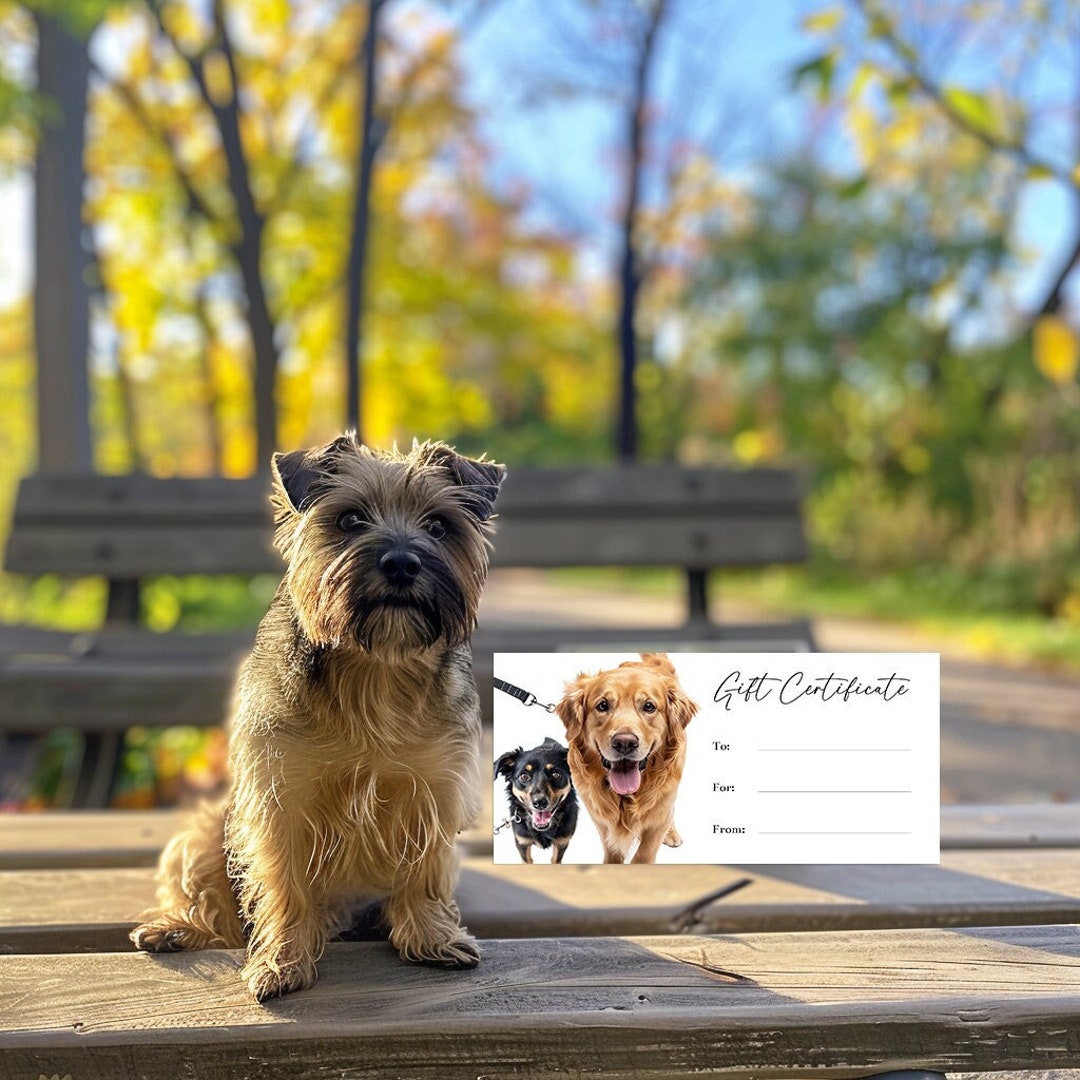 Dog Walking Gift Certificate Editable Pet Sitting Coupon Voucher ...