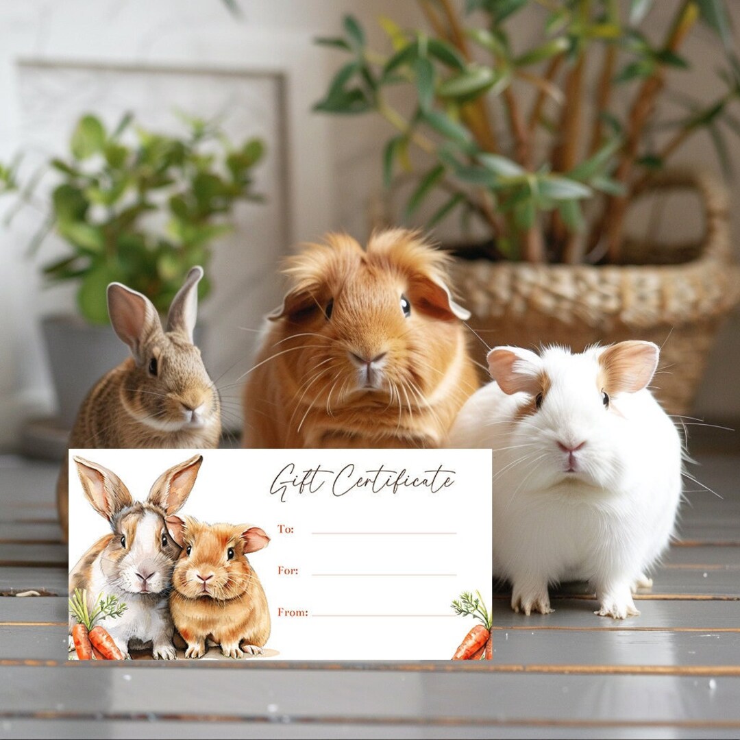 Editable Guinea Pig Hamster Bunny Rabbit Gift Certificate Template ...