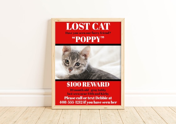 Lost Cat Flyer Template, Editable Missing Cat 8.5x11 Sign, Printable ...