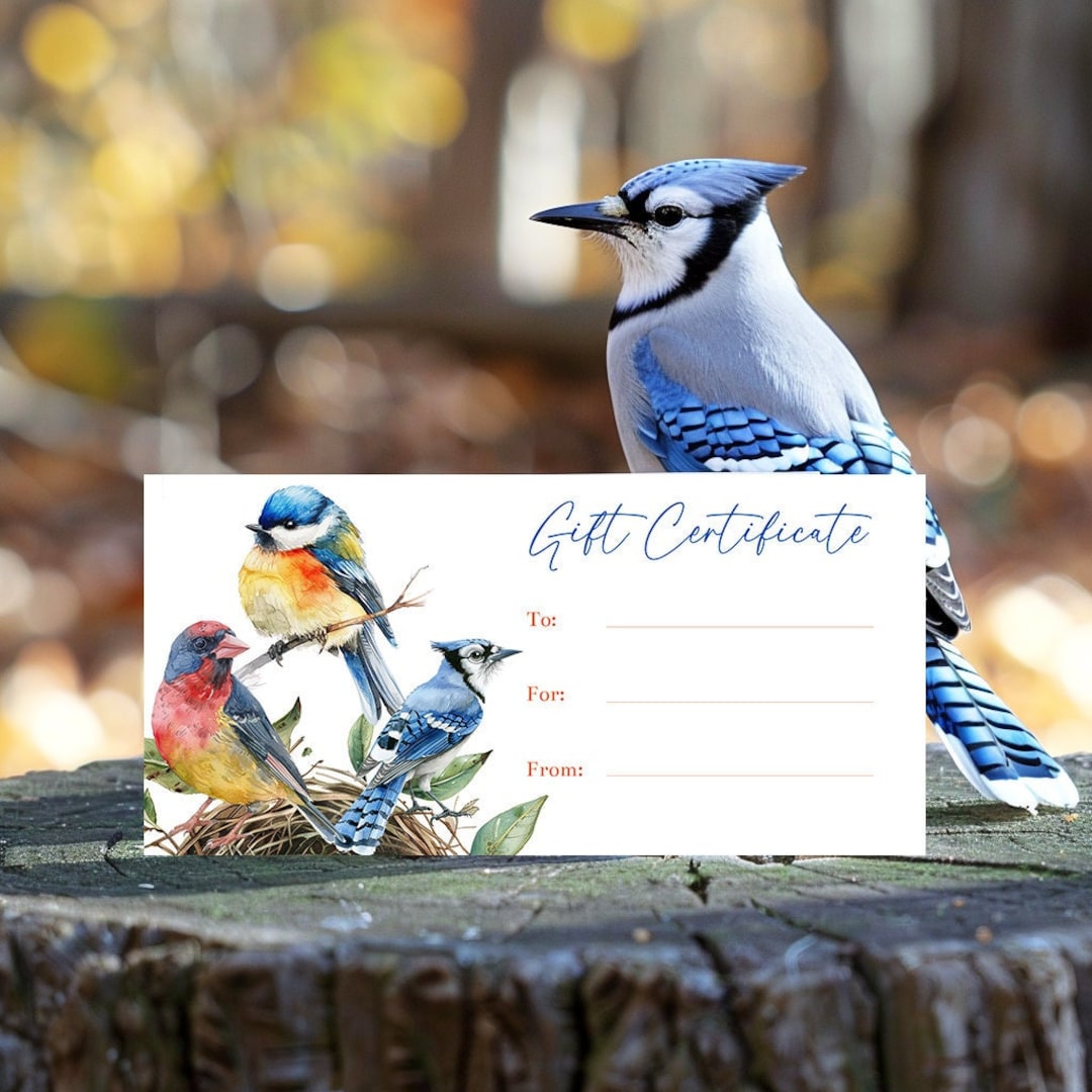 Editable Bird Gift Certificate Template, Printable Bird Coupon Voucher ...