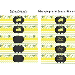 Editable Lemonade Water Bottle Labels, Lemonade Decorations, Lemonade ...
