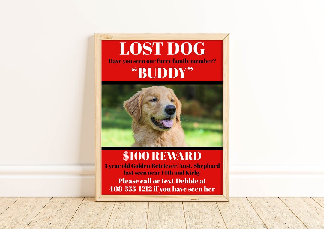 Lost Dog Flyer Template, Editable Missing Dog 8.5x11 Sign, Printable ...