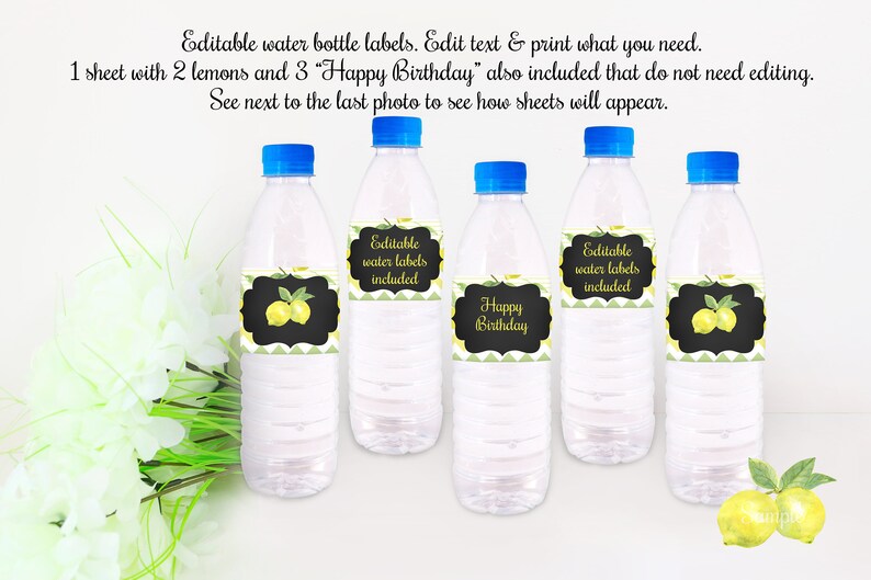 Editable Lemonade Water Bottle Labels Lemonade Decorations | Etsy