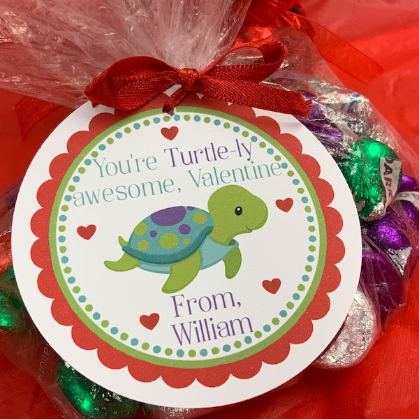 Turtle Valentine - Etsy