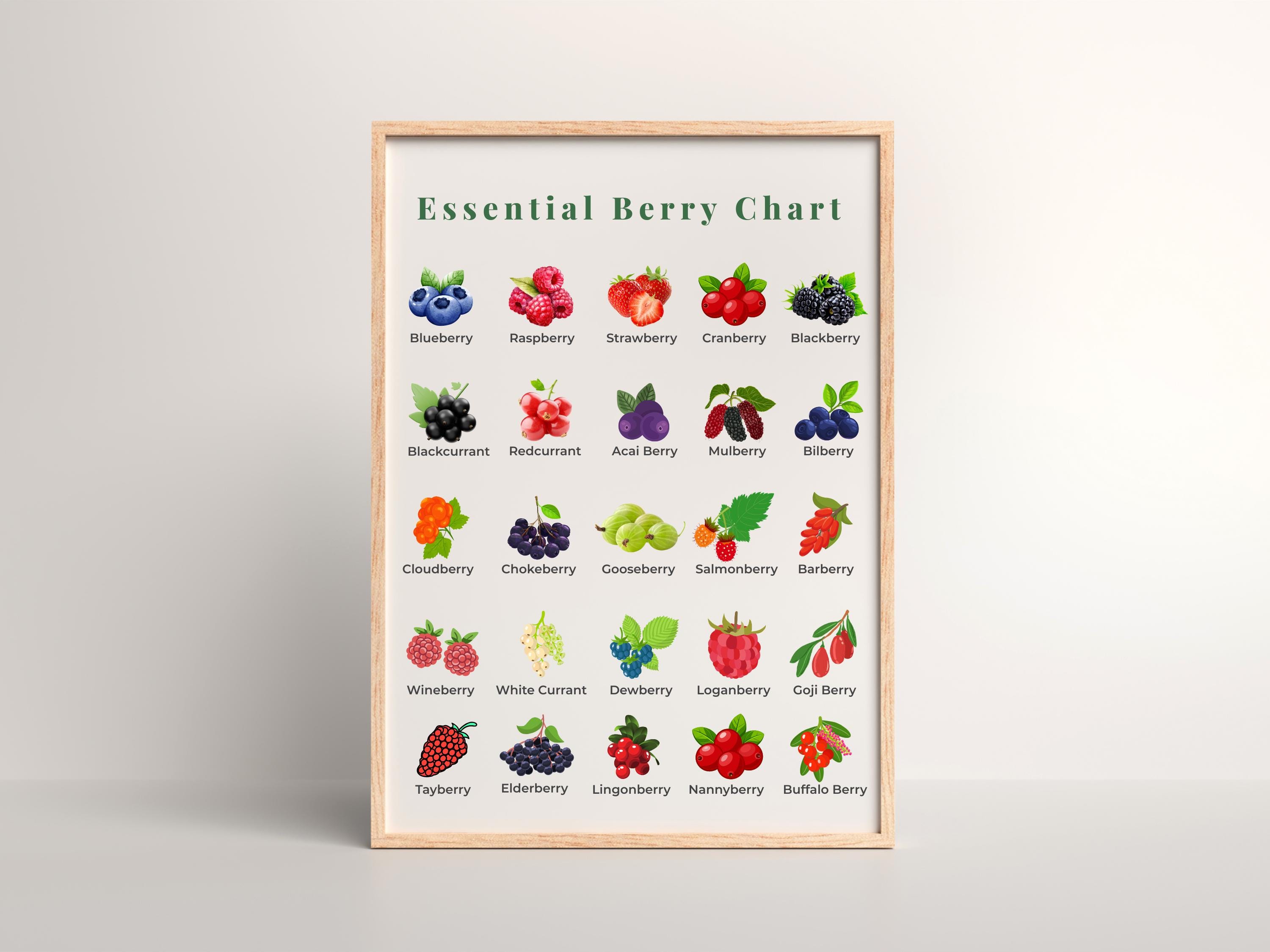 Berry Printable Poster | Kitchen Wall Art | Digital Download | Berry ...