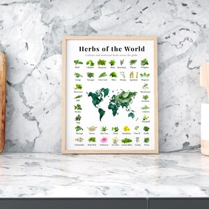 Herbs of the World Poster: Culinary & Medicinal Chart (digital Download ...