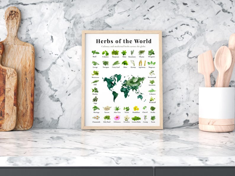 Herbs of the World Poster: Culinary & Medicinal Chart (digital Download ...