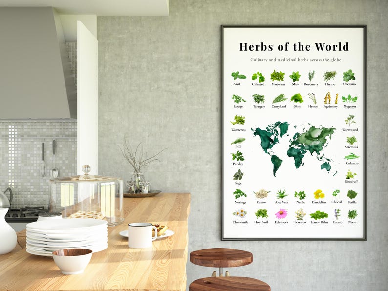 Herbs of the World Poster: Culinary & Medicinal Chart (digital Download ...