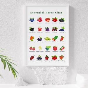 Berry Chart Poster: Kitchen Wall Art for Kids & Adults (digital ...