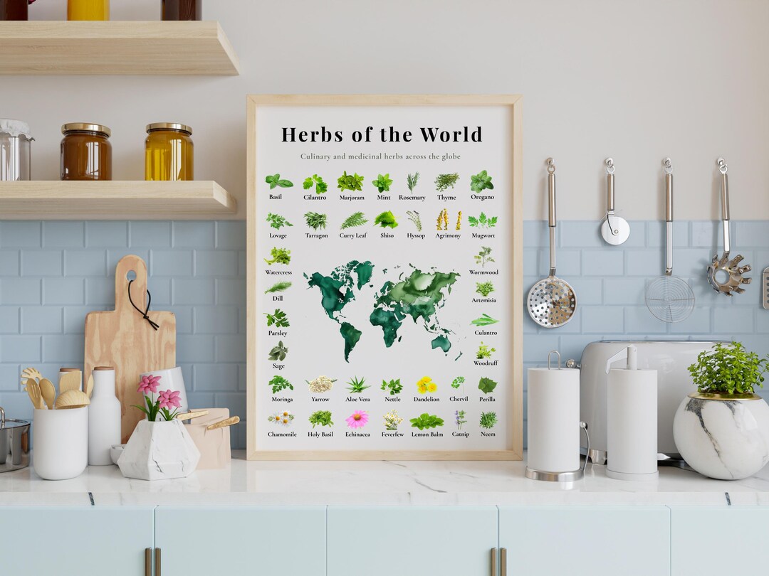 Herbs of the World Poster: Culinary & Medicinal Chart (digital Download ...