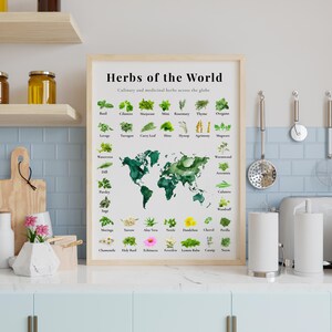 Herbs of the World Poster: Culinary & Medicinal Chart (digital Download ...