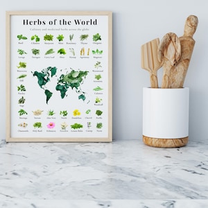 Herbs of the World Poster: Culinary & Medicinal Chart (digital Download ...