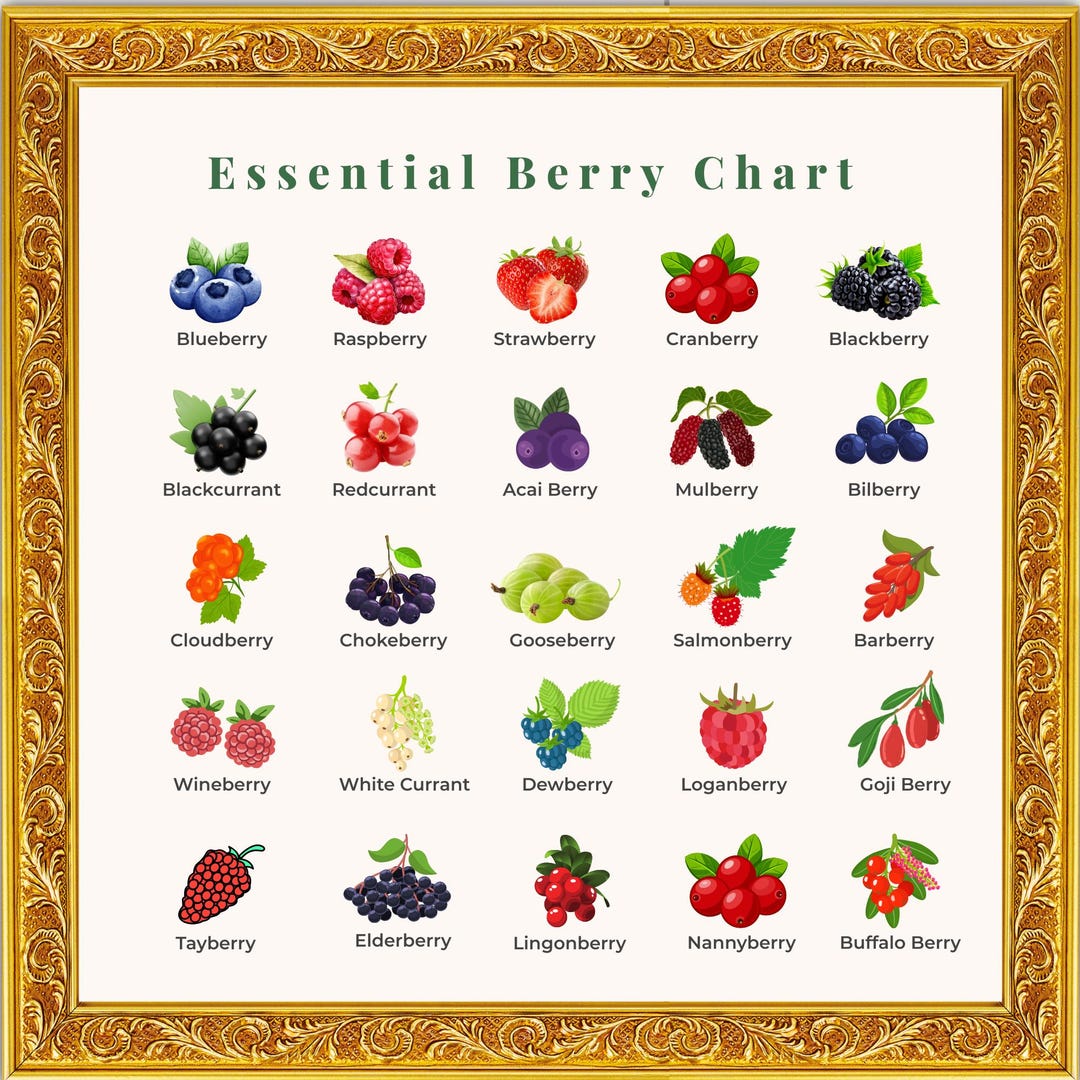 Berry Chart Poster: Kitchen Wall Art for Kids & Adults (digital ...