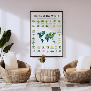 Herbs of the World Poster: Culinary & Medicinal Chart (digital Download ...