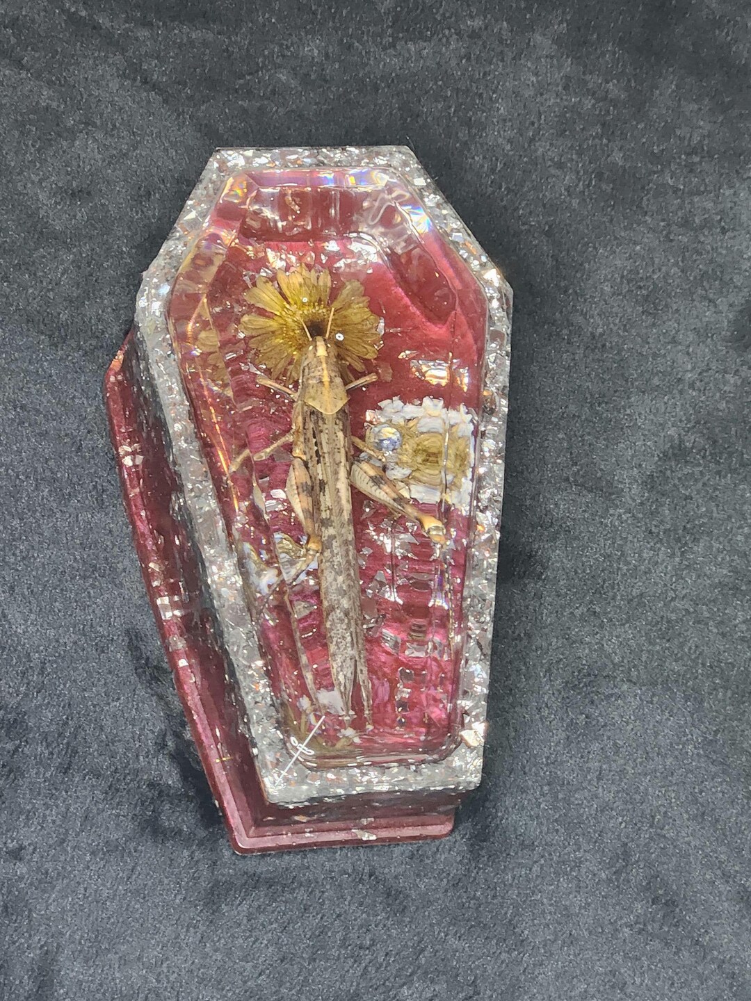 Preserved Grasshopper & Dried Flowers in Resin Coffin - Etsy