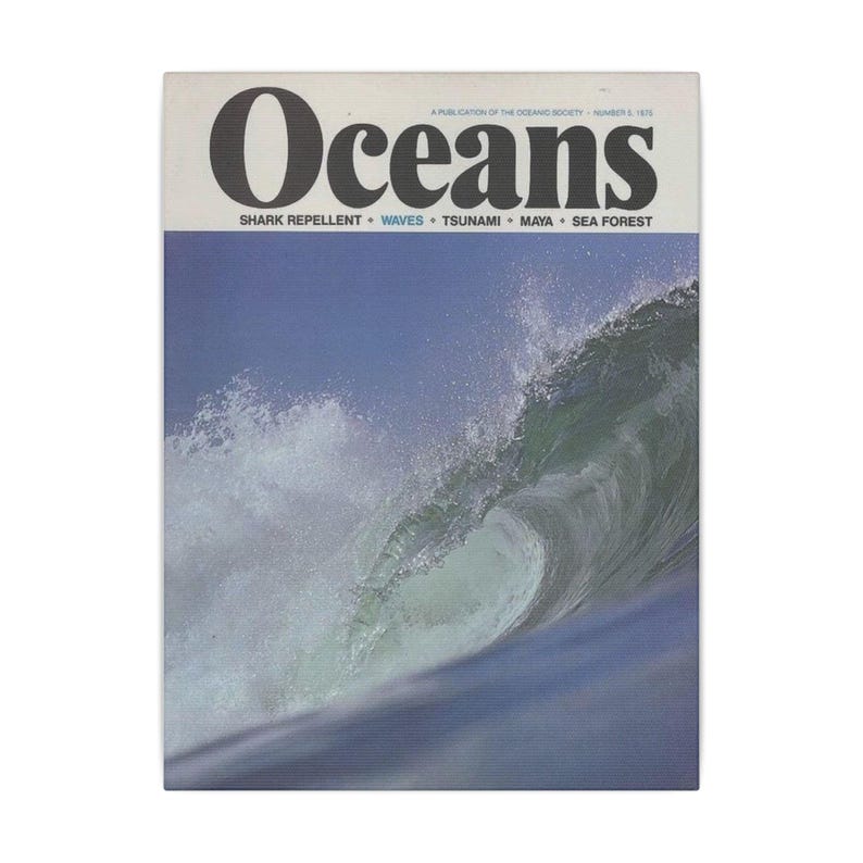 Big Wave Ocean Matte Canvas, Surf Wall Decor, Ocean Lover Wall Art ...