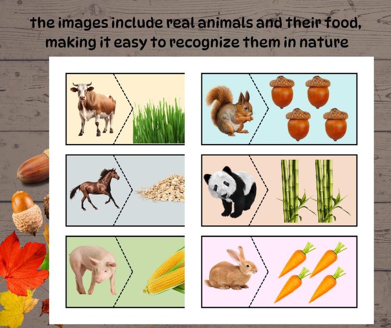 Animal and Their Food Matching Puzzle - Etsy