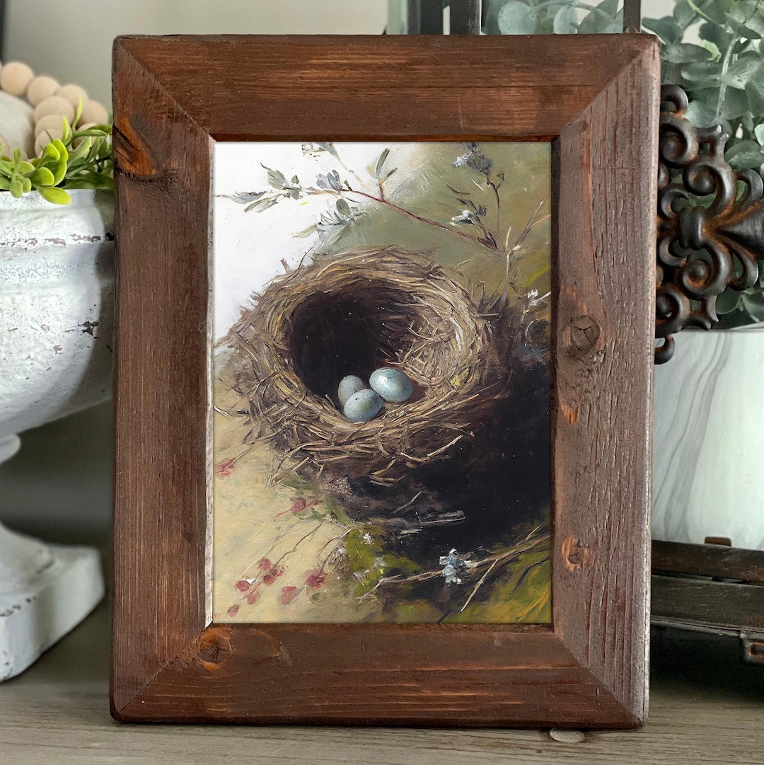 Framed Bird Nest Wall Art Rustic Farmhouse Decor, Vintage Bird Nest ...