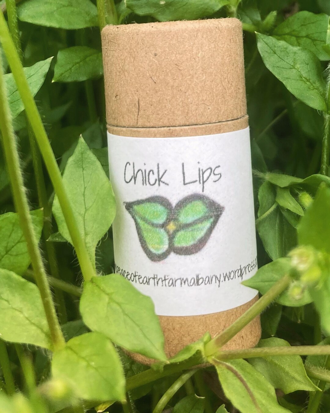 Chick Lips - Etsy