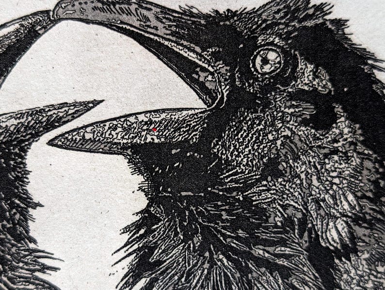 Valentine's Day, Wall Art, Raven Love Story, Raven, Crow, Black and ...