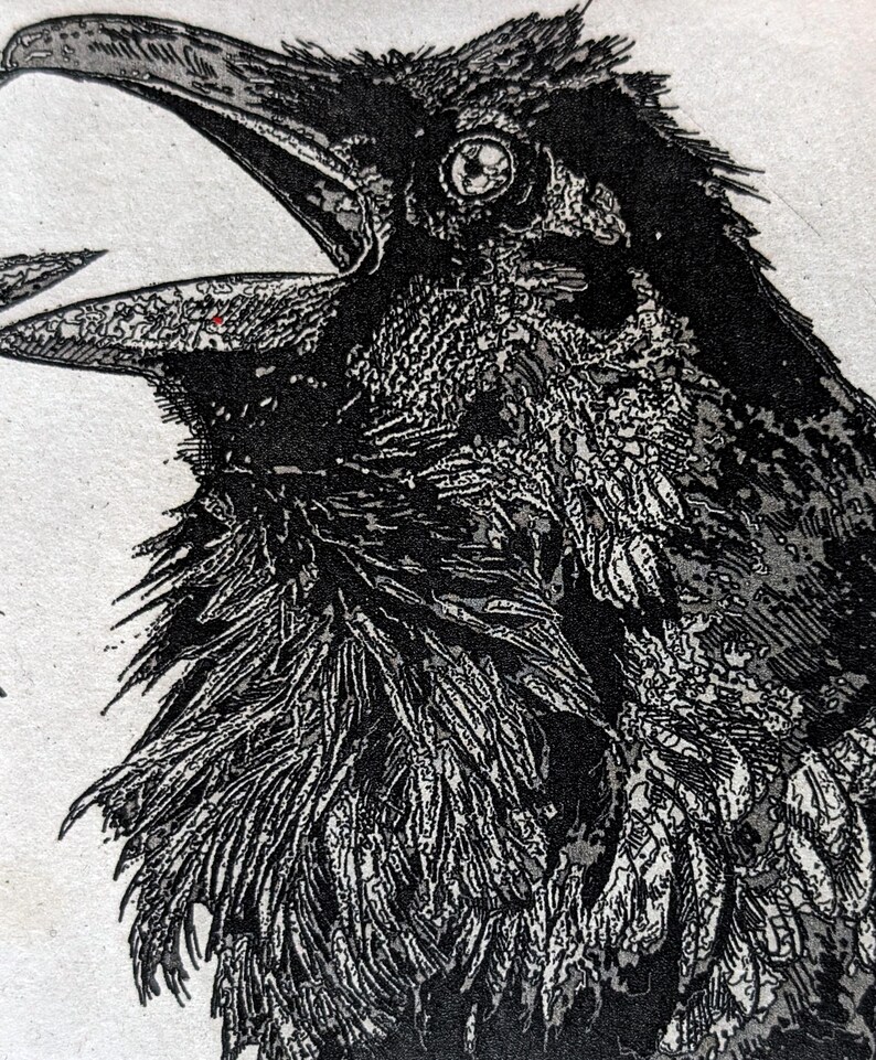 Valentine's Day, Wall Art, Raven Love Story, Raven, Crow, Black and ...