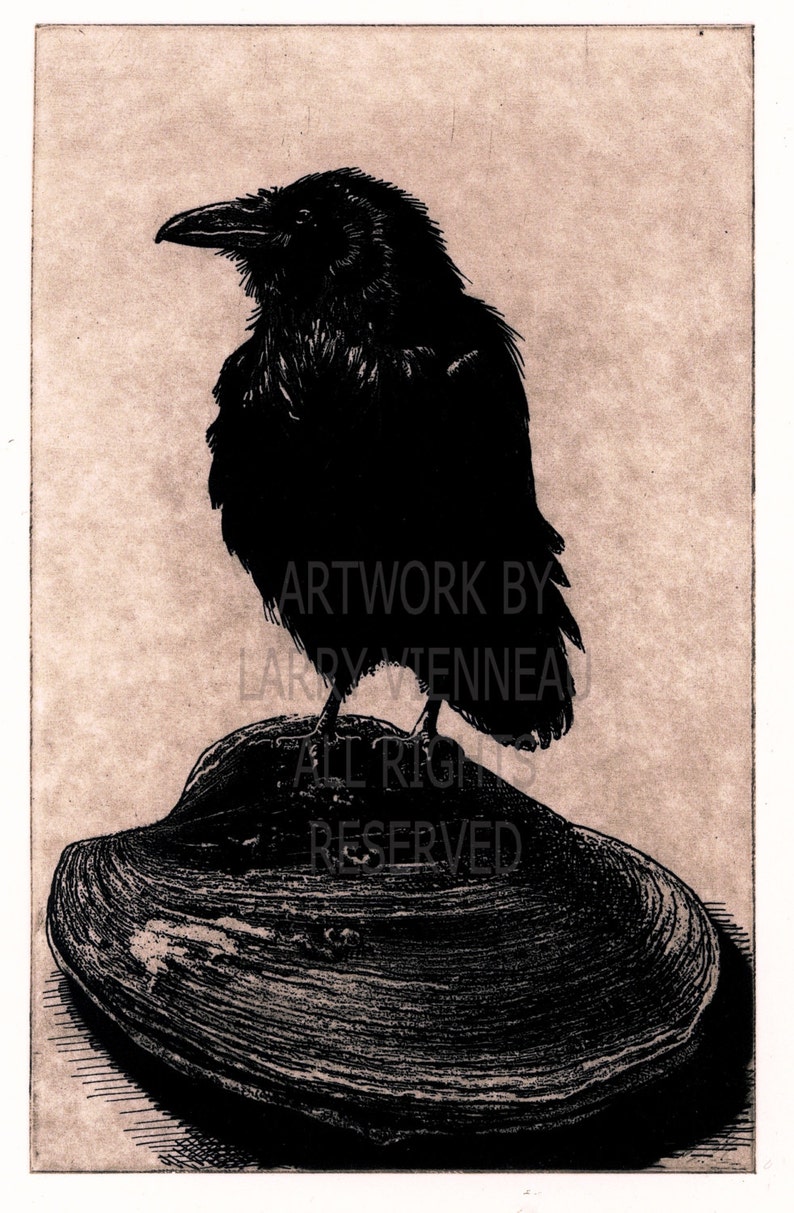 Raven Artwork Raven Crow Etching Raven Wall Art Clam Shell Crow
