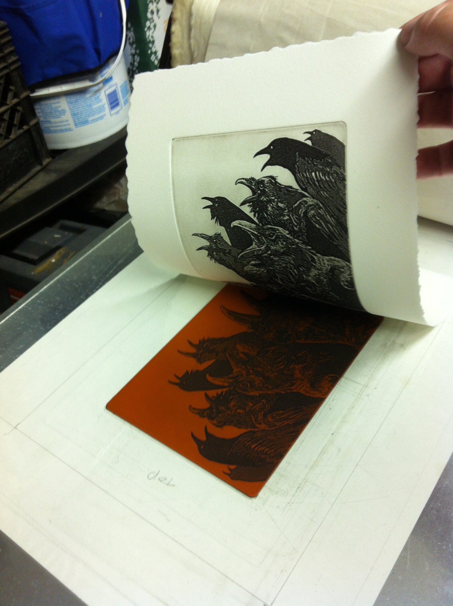 Wall Art, Goth Art, Raven Artwork, Raven, Crow, Etching, Inquisition ...