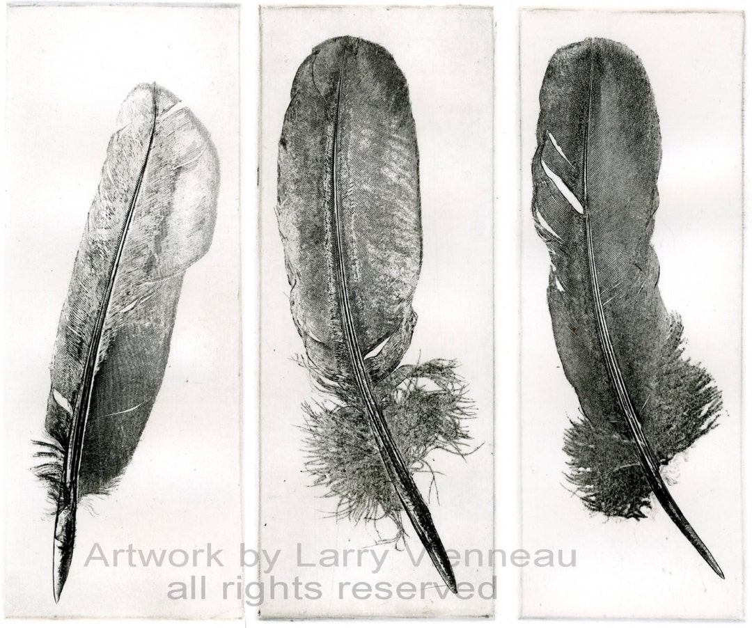 Halloween ANGEL, FEATHER, Raven Artwork , Raven, Crow, Etching, Dry ...