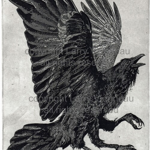 Wall Art Goth Art Raven Artwork Raven Crow Etching Etsy