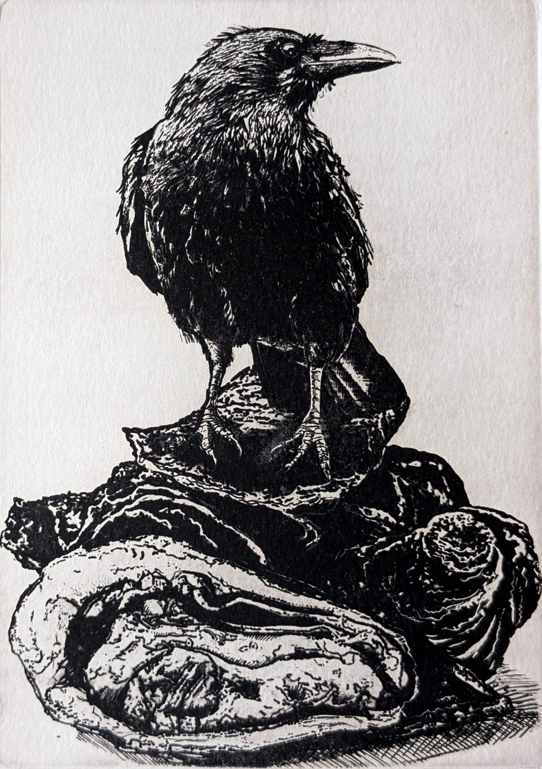Goth, Wall Art, Raven Artwork, Raven, Crow, Etching, Raven and the ...