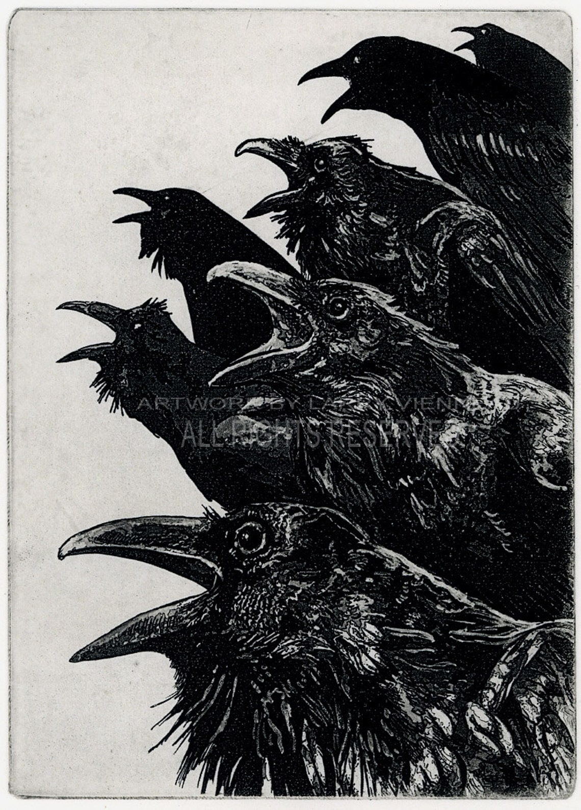 Wall Art Goth Art Raven artwork Raven crow Etching | Etsy