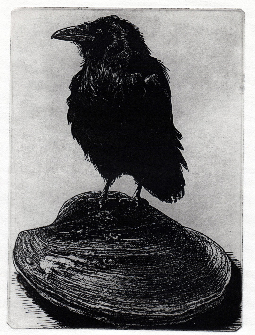 Holiday Wall Art, Raven Artwork , Raven, Crow, Etching in Assorted ...