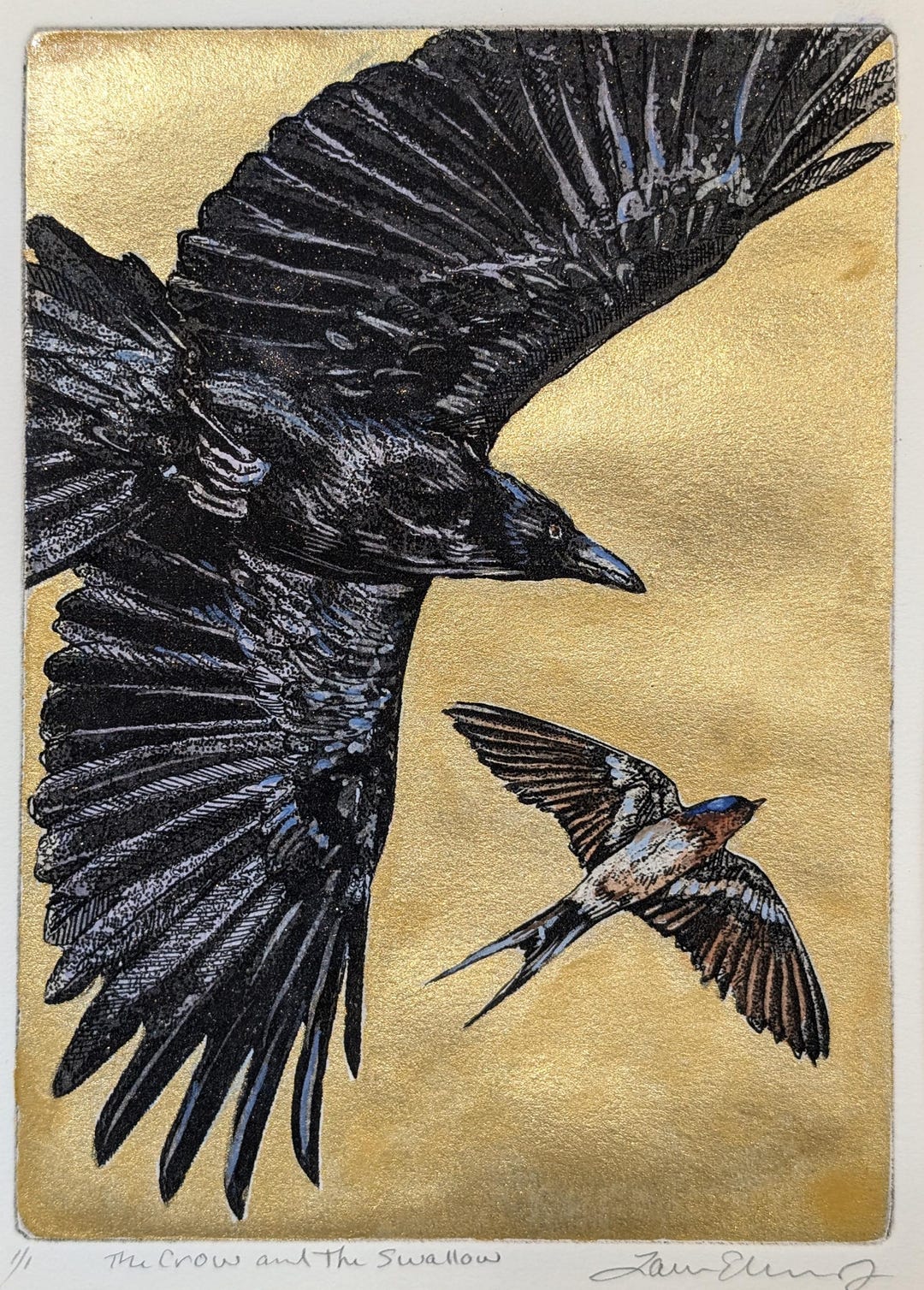 Holiday Gift. Raven Artwork, Swallow, Aesop Fables, Etching, Crow Wall ...